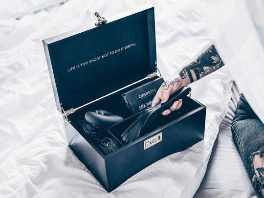 The Ultimate Locking Hitachi Magic Wand Storage Box – OpenMityRomance