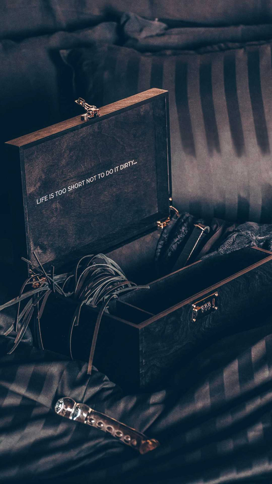 The Ultimate Locking Hitachi Magic Wand Storage Box – OpenMityRomance